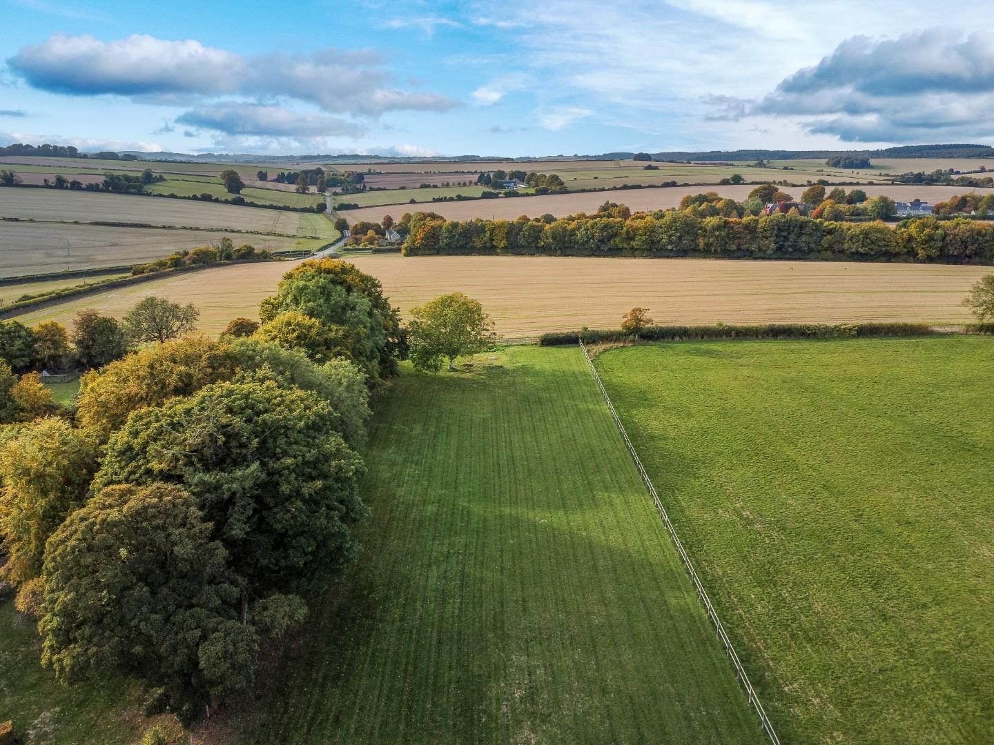 Cow Drove, Chilmark - Estate Agents Myddelton & Major